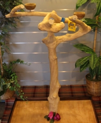 Natural Java Tree Playstands for Birds - FREE SHIPPING - Discounted
