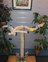 Natural Java Tree Playstands for Birds - FREE SHIPPING - Discounted