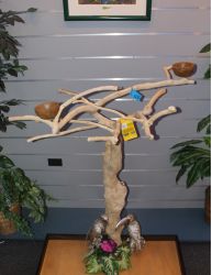 MY SAFE BIRD STORE - Special Offers - Online Store