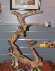 Natural Java Tree Playstands for Birds - FREE SHIPPING!