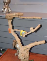 Natural Java Tree Playstands for Birds - FREE SHIPPING!