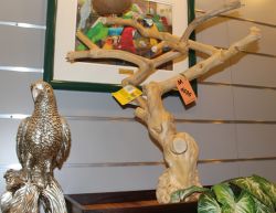 Natural Java Tree Playstands for Birds - FREE SHIPPING!