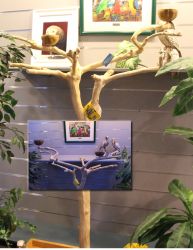 Natural Java Tree Playstands for Birds - FREE SHIPPING - Discounted