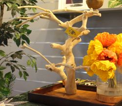 Natural Java Tree Playstands for Birds - FREE SHIPPING!