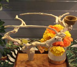 Natural Java Tree Playstands for Birds - FREE SHIPPING!