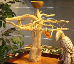 Natural Java Tree Playstands for Birds - FREE SHIPPING!