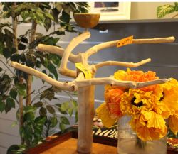 Natural Java Tree Playstands for Birds - FREE SHIPPING!