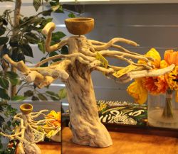 Natural Java Tree Playstands for Birds - FREE SHIPPING!