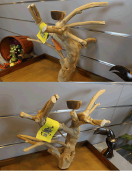 Natural Java Tree Playstands for Birds - FREE SHIPPING!