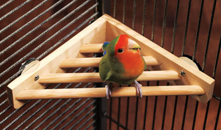 Looking for hut/tent alternatives. How do your birds like to sleep? : r ...